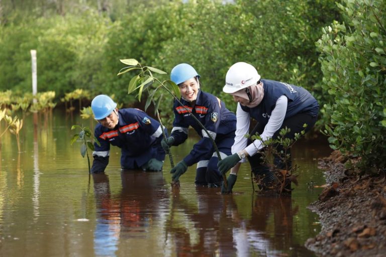 MIND ID Raih 11 Piala PROPER 2024! Rahasia Suksesnya Kelola Lingkungan ...